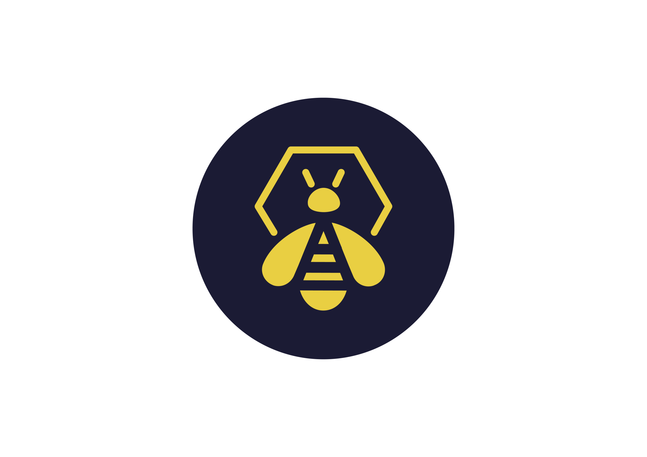 Robtex – TheHive Project